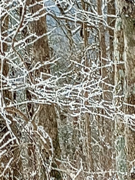 Winter Shakeout Hike Neel Gap To Tesnatee Gap The Trek