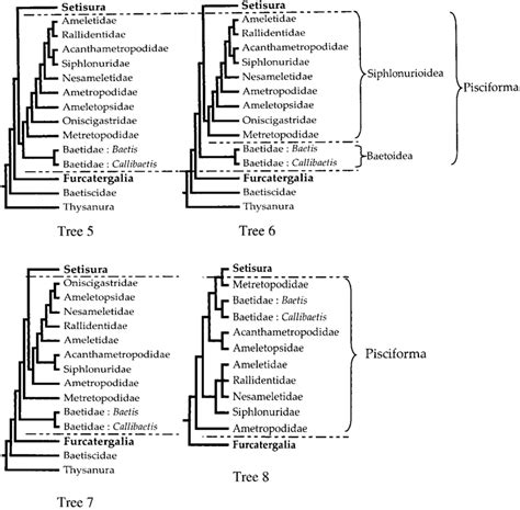 Trees 5Ð8 Tree 5 The Best Tree Following The Assumption That Download Scientific Diagram
