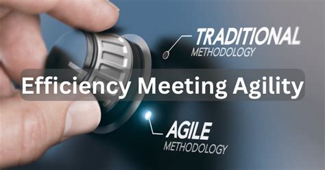 streamlining success project management for agile environments