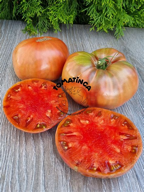 Не фиолетовая клубника (Not Purple Strawberry, США) – Tomatinсa.ru