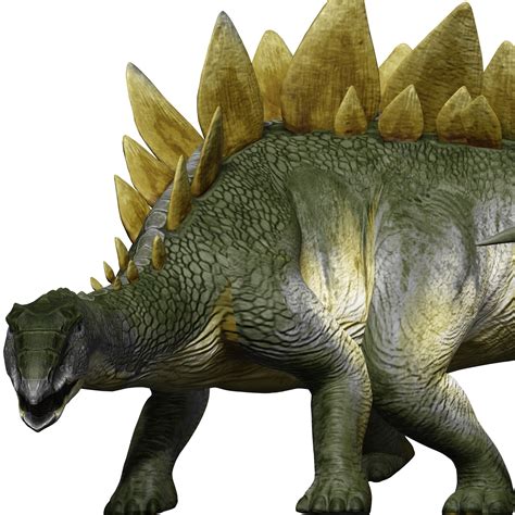 obj file dinosaur download stegosaurus 3d model stego animated