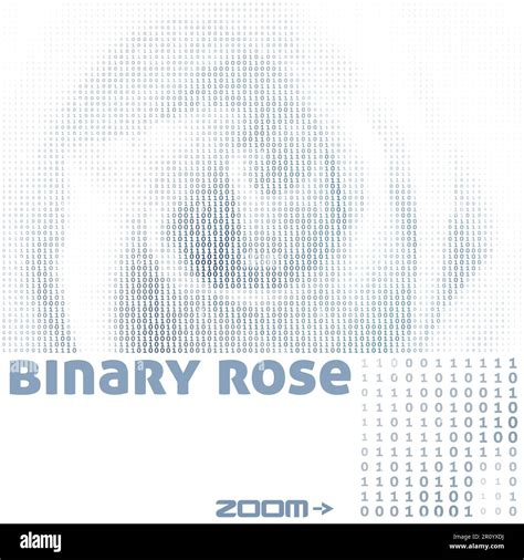 Bluish Binary Code Rose Flower By Ones And Zeros Digital Vector Graphic Art Background Stock