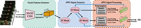 Figure 1 From Robust Heart Rate Estimation With Spatialtemporal Attention Network From Facial