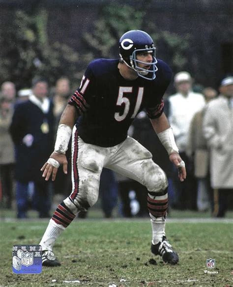 Chicago Bears Dick Butkus Hall Of Fame Linebacker 8x10 Action Photo Picture