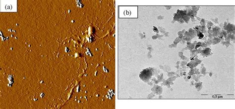 A Afm Deflection Image 10 M × 10 M Z Range 0 20 Nm And B Tem Download Scientific