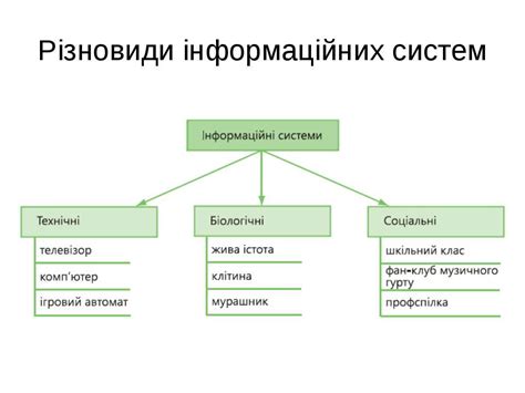 Об‘єкти процеси та інформаційні системи презентація з інформатики