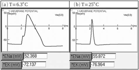 Senb Test Using Two Different Temperatures A Simulation At T63°c