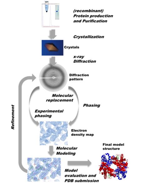 Protein Characterization Assays Service Mtoz Biolabs