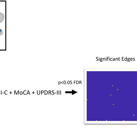 Functional Connectivity Pearson Correlation Was Calculated For Each