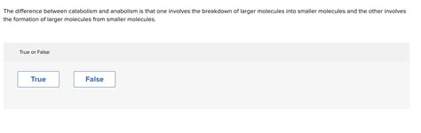 Solved The Difference Between Catabolism And Anabolism Is Chegg