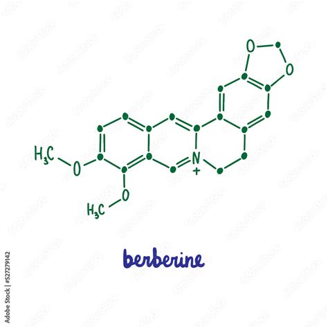 Berberine Hand Drawn Vector Formula Chemical Structure Lettering Blue Green Stock Vector Adobe
