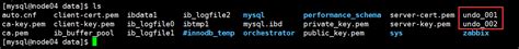 mysql8 0新特性 使用sql管理undo表空间 harda 博客园