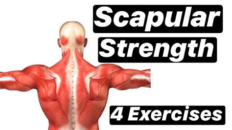 Snapping Scapula Exercises