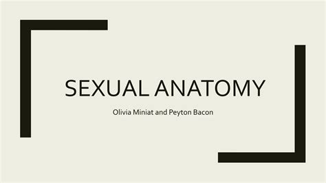 Sexual Anatomy Pp PPT