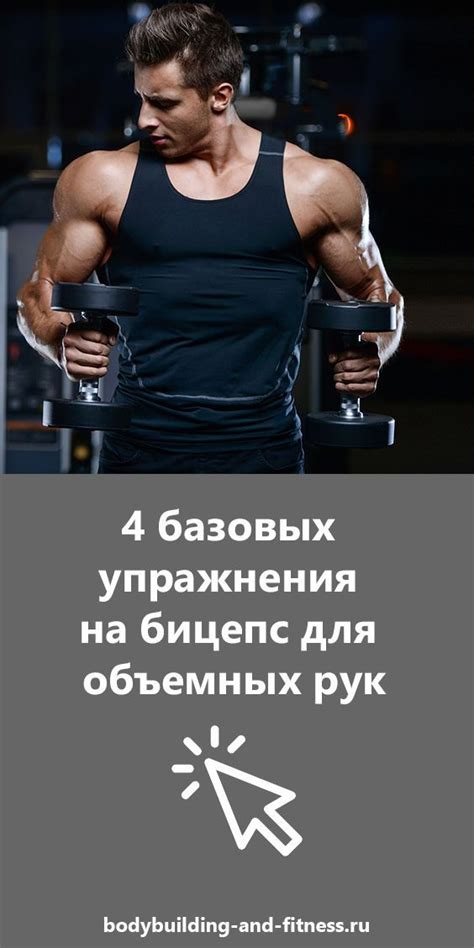 4 базовых упражнения на бицепс для объемных рук Бицепс Упражнения Тренировки