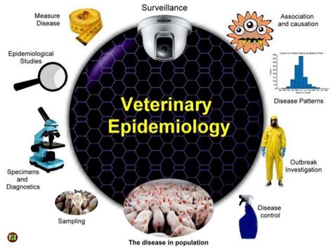 Vet Epidemiology Overview And General Concepts Rd Domingo