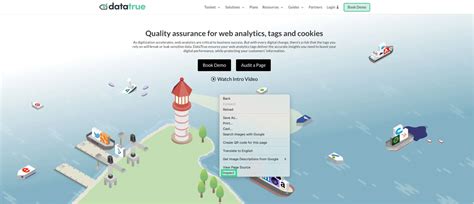 What Is A Cookie Audit Tools And Methods You Can Use DataTrue