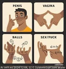 Pic Images 15995B Instant Upload