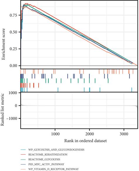 Functional Enrichment Affected By Prlncrnas A Go Function Enrichment Download Scientific