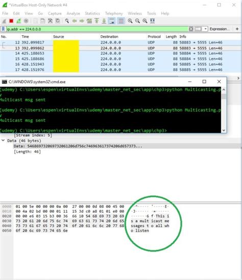 Python Multicasting UDP Wireshark E Lo Engineer Log Out