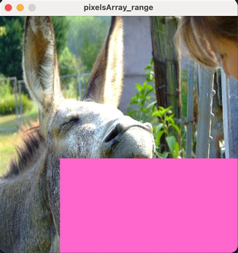 How To Iterate Over 2d Region With 1d Pixels Array Libraries