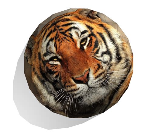 Uv Mapping Controls In 2022 Rendering Vectorworks Community Board