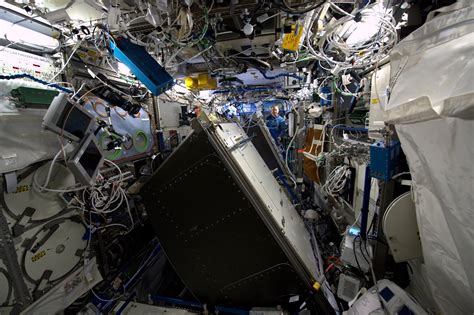 Octopus Cabling Ltd Colchester