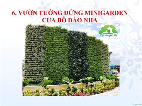 GIỚI THIỆU CÔNG TY TNHH KHANG NGỌC KHÁNH Minigarden Việt Nam