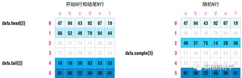 Python Pandas模块21个常用操作可视化图解 知乎
