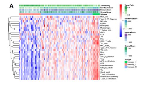 实战 种免疫细胞基因集GSVA分析 知乎