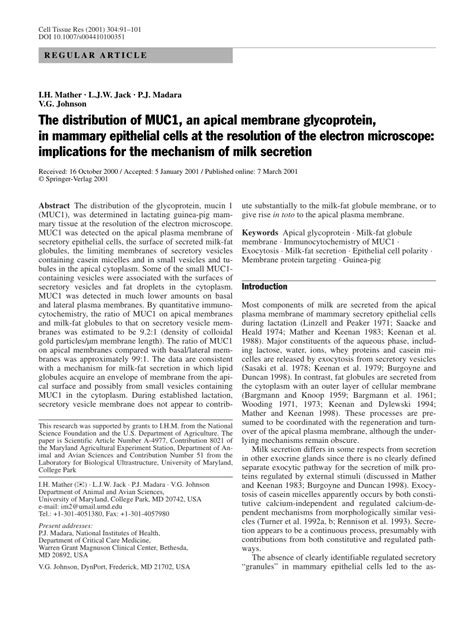 Pdf The Distribution Of Muc1 An Apical Membrane Glycoprotein In Mammary Epithelial Cells At