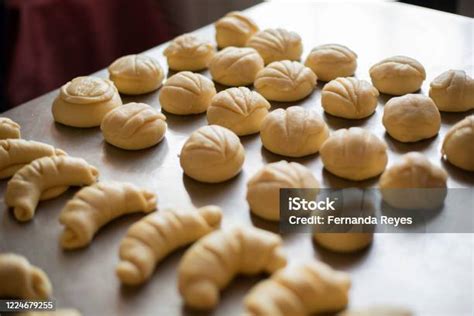 스테인레스 스틸 테이블에 갓 만든 생 빵 달콤한 빵 과테말라 음식 빵 덩어리를 구울 준비가 가정 생활에 대한 스톡 사진 및 기타 이미지 Istock