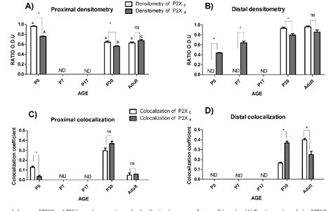Figure 4 From Differential Gene Expression Patterns And Colocalization