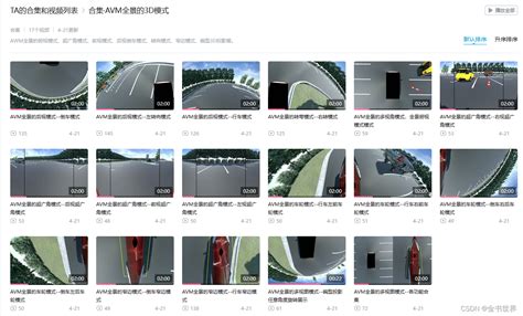 自动驾驶avm环视算法 3d碗型投影模式的算法原理和代码实现 3d avm csdn博客