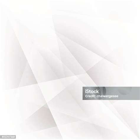 추상적인 기하학적 흰색과 회색 색상 부드러운 라인 배경 벡터 일러스트 레이 션 0명에 대한 스톡 벡터 아트 및 기타 이미지 0명 곡선 기하 도형 Istock