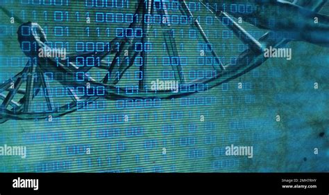 Image Of Dna Rotating Over Binary Code On Green Background Stock Photo Alamy