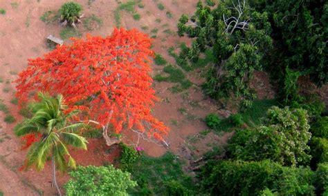 Nitk Aerial View National Institute Of Technology Karnataka Surathkal