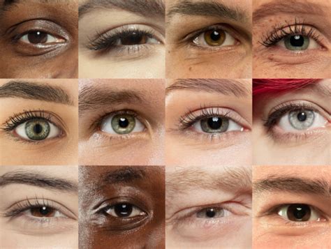 Probert And Williams Optometrists Aberystwyth Wales Types Of Contact Lenses