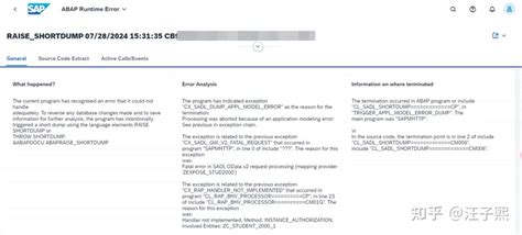 abap 程序员必备指南：三种不同 abap 环境下诊断运行时错误的方法揭秘 知乎