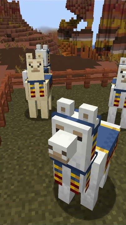 Wandering Trader Llamas Breeding Tip For Minecraft Youtube Wandering Trader Llamas Breeding Tip For Minecraft Youtube