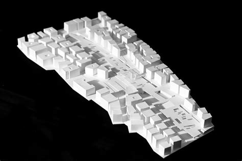 Terra Incognita Cornell Aap