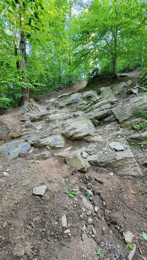 Loop Springs Alabama Gps Trail Map Conditions And Difficulty Onx Offroad