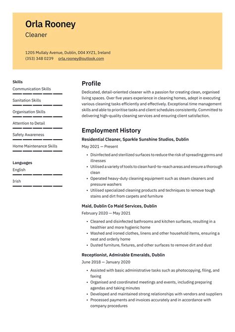 Cleaner Cv Examples And Writing Tips 2025 Free Guide · Cvapp Ie