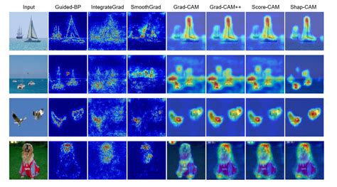 Shap Cam Visual Explanations For Convolutional Neural Networks Based On Shapley Value Deepai