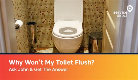 My Toilet Doesnt Flush Every Time At Catherine Fletcher Blog