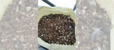 Навоз куриный в мешках купить в Твери Товары для дома и дачи Авито