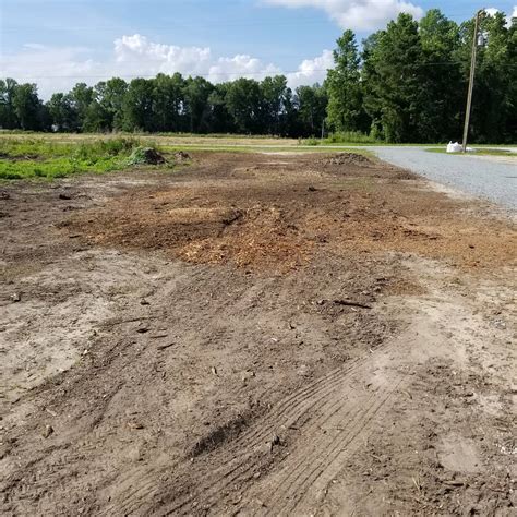 This Area Beside Our Driveway Looks Peach Street Restyle