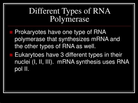 Chapter 17 From Gene to Protein. - ppt download