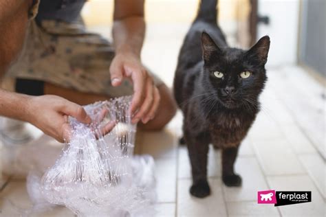 СДЕЛАЕМ БАЛКОН БЕЗОПАСНЫМ ДЛЯ КОШЕК - LOVE FERPLAST