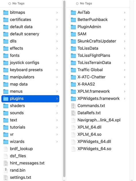 Plugins Do Not Load In Xplane 11 V55r2 Xp11 Technical Support Cubby